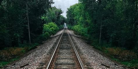 Comprehending Pth Files The Backbone Of Pytorch Models By Manas Nand Mohan Medium