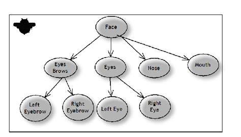 The Face Bayesian Network Conceptual Model Download Scientific Diagram