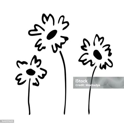 간단한 검은 윤곽선 벡터 그리기입니다 줄기에 작은 꽃 카모마일 꽃 요소 자연과 식물 잉크로 스케치합니다 0명에 대한 스톡 벡터 아트 및 기타 이미지 Istock