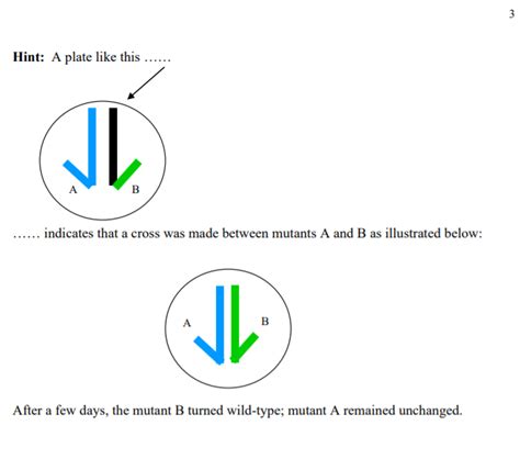 You Have Completed A Series Of Biochemical