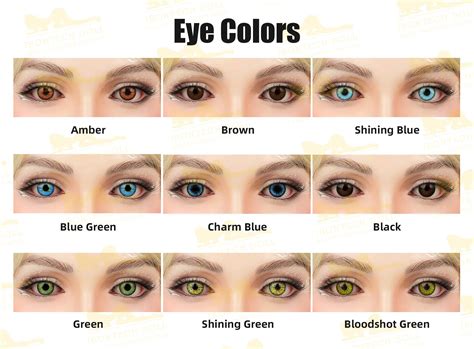 Sex Doll Options And Functions Irontech Doll