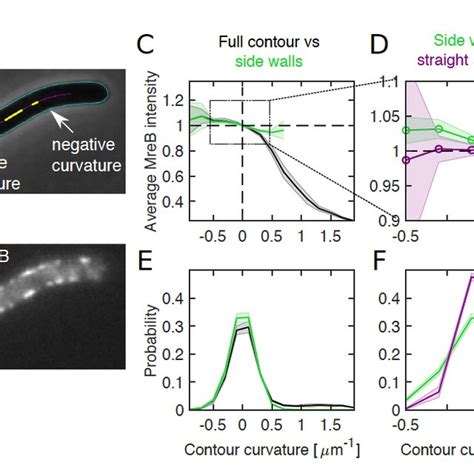 Molecular Diffusion And Msd Analysis A Different Types Of Diffusion