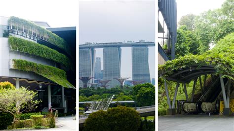 How Singapore Leads The World In Sustainable Urban Innovation