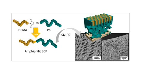 Modular Synthesis Of Functional Block Copolymers By Thiolmaleimide