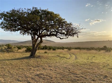 Home Random Realizations