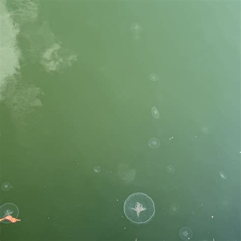 3 Trees Care And Support Ltd 3tcsltd On Linkedin 3tcs 3trees