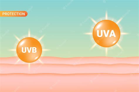 Uva 및 Uvb 보호 벡터 일러스트 프리미엄 벡터