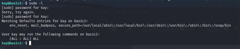 ctf vulnhub basic pentesting 2 makine Çözümü ongsec cyber security