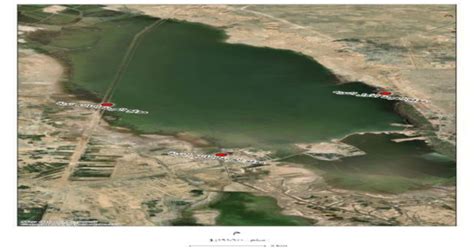 Sampling Sites Of The Bahr Al Najaf Depression Download Scientific Diagram