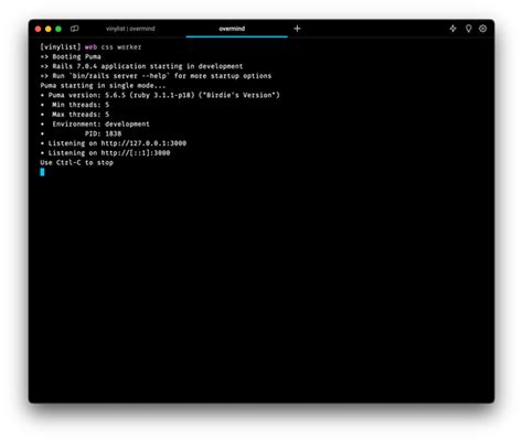 Control Your Dev Processes With Overmind Pragmatic Pineapple 🍍
