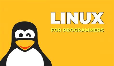5 Distro Linux Terbaik Untuk Programmer Dan Developer Di Tahun 2019
