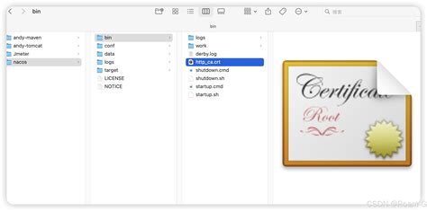 Elasticsearch 证书问题解决 Ew帮帮网