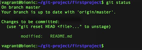 Belajar Git Menyimpan Perubahan Di Git Dan Mengirimnya Di Github