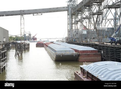 A Usda Inspection Of Grain Storage And Transfer Processes Focusing On