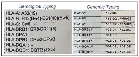 Hla Structure And Function Professor Richard Kirk 2023