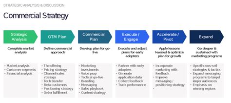 Developing A Commercial Strategy Mka Insights