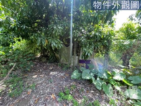 梅林庄邊低總價超便宜建地 雲林縣斗六市梅林東段 土地 住宅出售 有巢氏房屋 好房網買屋