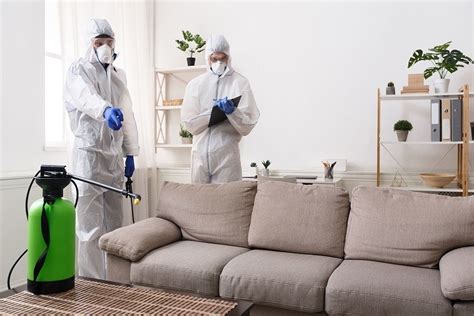 5 Ways To Prevent Pests From Your Invading Your Home