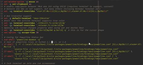 Make Certain That The Cursor Can Invertnot Occludedisplay The