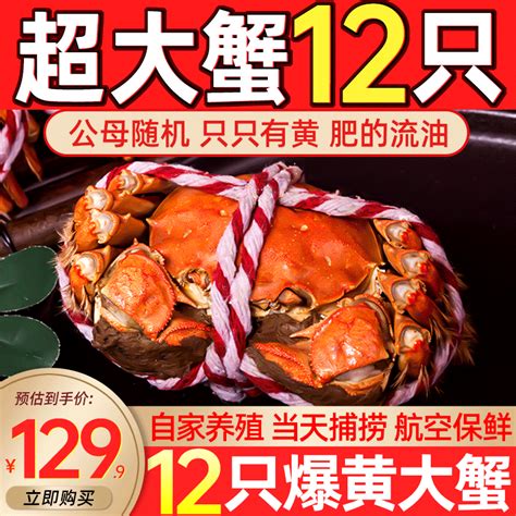 活蟹大闸蟹鲜活特大全母螃蟹海鲜水产河蟹活物毛蟹湖蟹新鲜六月黄 虎窝淘