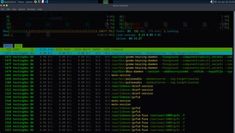 Linux Htop Tool TestingDocs