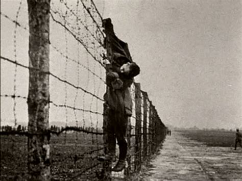 특집 집단의 기억이 잊히지 않도록 에서 까지 홀로코스트 영화의 역사