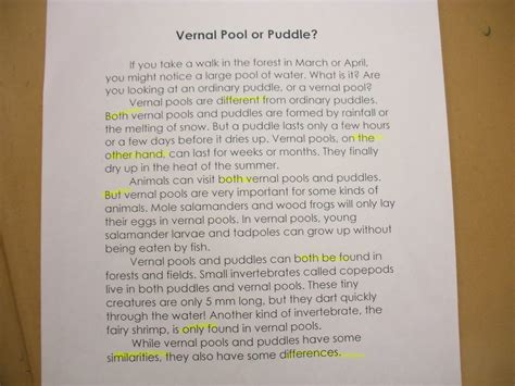 In My Classroom The Forest And The Trees Text Structure Compare And Contrast