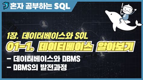 데이터베이스 이해하기 Databasedb Dbms Sql의 개념