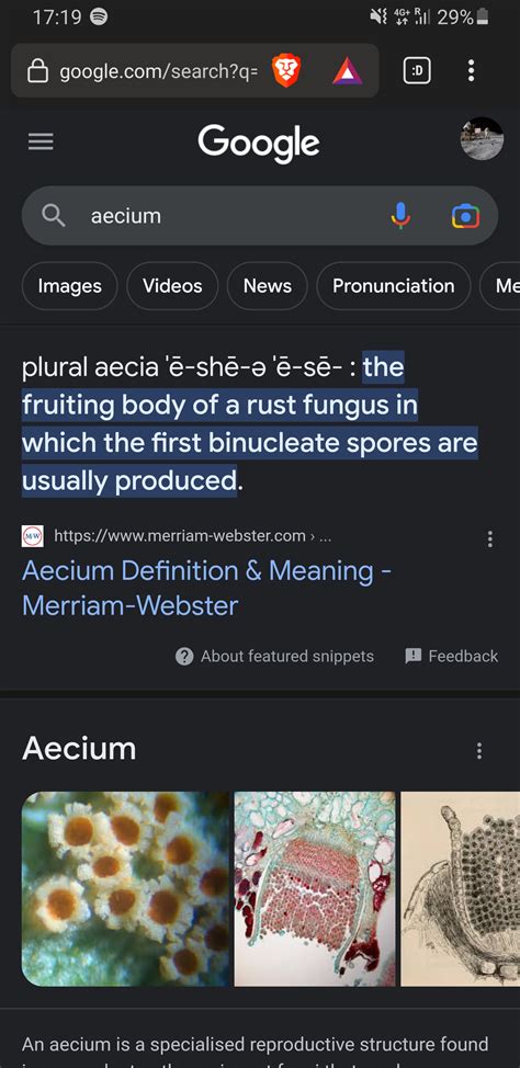 If Its Named After A Plant Fungus Why Not Aecium Which Is A Rust