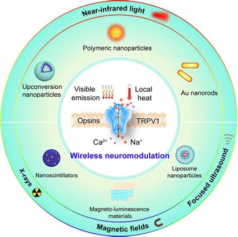 Schematic Illustration Of Functional Nanotransducer Enabled Wireless Download Scientific