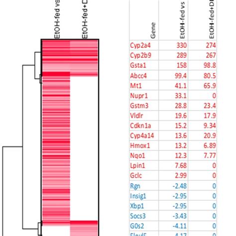 heatmap of 2d clustering of degs among groups red represents increased