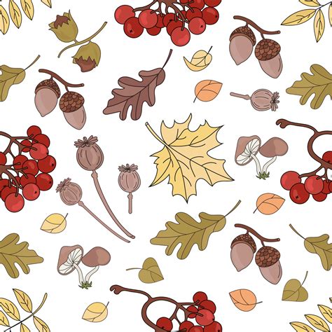 AUTUMN ROWAN Nature Seamless Pattern Vector Illustration 20106871 Vector Art At Vecteezy