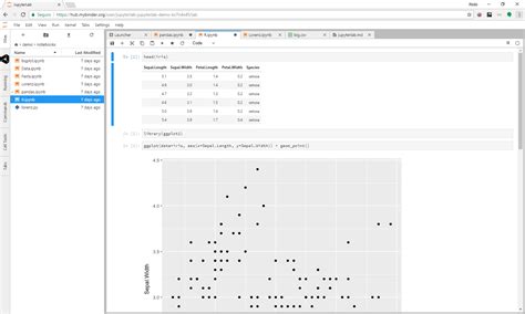 jupyter notebook python