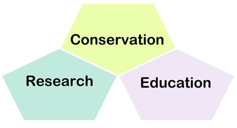 Connecting For Crop Diversity Enhancing Agriculture Research And Education Through Coordinated