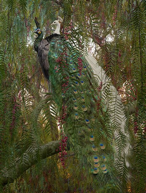 Interview With Simen Johan Blog Podcast