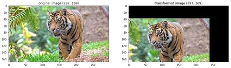 Data Augmentation Techniques