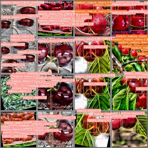 Research On Cherry Maturity Detection Based On Improved Ds Yolov8 Research Square