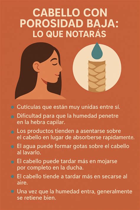 Cabello De Porosidad Baja Vs Alta Diferencias Y Cuidados