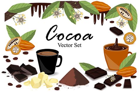 슈퍼 푸드 코코아 컬렉션 귀여운 프레임 배너입니다 포드 콩 코코아 버터 코코아 매스 초콜릿 코코아 음료 스플래시 그리고 분말 벡터 가루로 빻은에 대한 스톡 벡터 아트 및