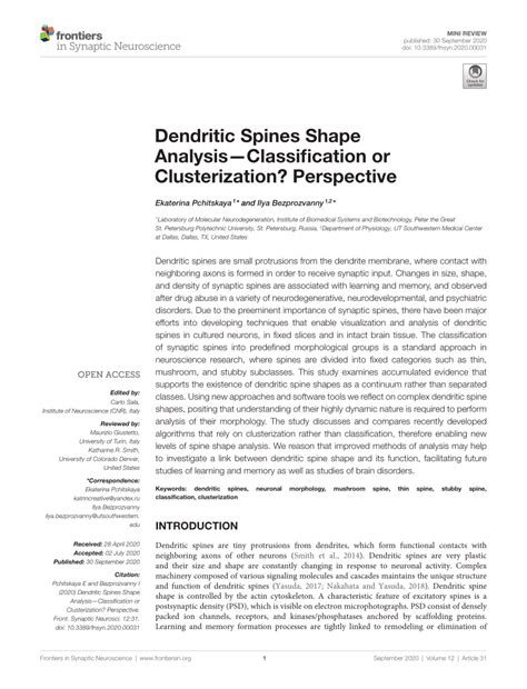 pdf dendritic spines shape analysis—classification or clusterization
