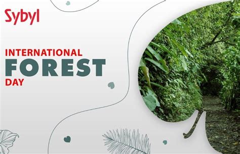 Sempiira Isaac Posted On Linkedin