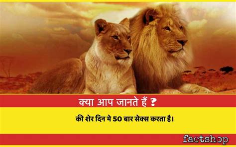 Sex Facts In Hindi सेक्स से जुड़े 100 मजेदार और रोमांचक तथ्य 2024