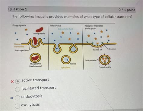 Solved Question 10 1 ﻿pointthe Following Image Is Provides