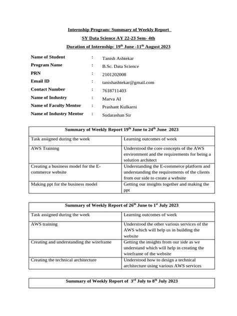 Weekly Report Format Pdf Information Technology Computing