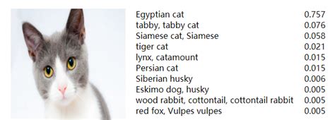 Mobilenet Different Results When Webglpack Is True Or False · Issue