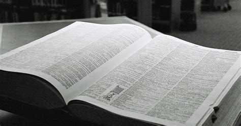 7 Sex Positive Terms To Know Because Knowledge Is Hot