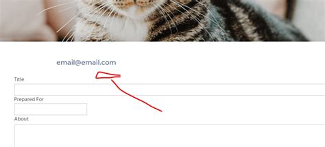 What Could Be Causing The Problem In The Session Rsupabase