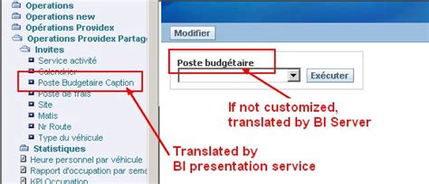 OBIEE 10G 11G Translate The WebCat Dashboard Page And Report Names
