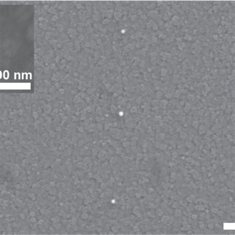 sem image of an array of fabricated silver nanostructures there is