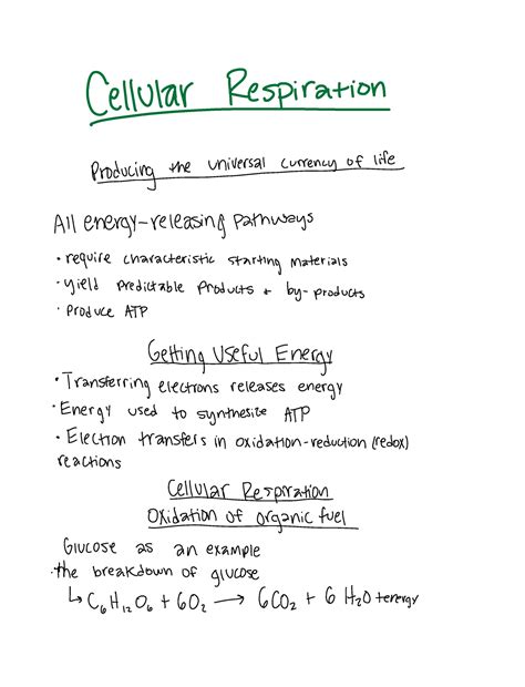 Cellular Respiration Lecture Cellularrespiration Producingtheuniversaturrencyoftif